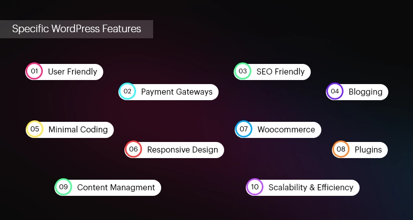 How to Find the Ideal WordPress Developer for Your Business
